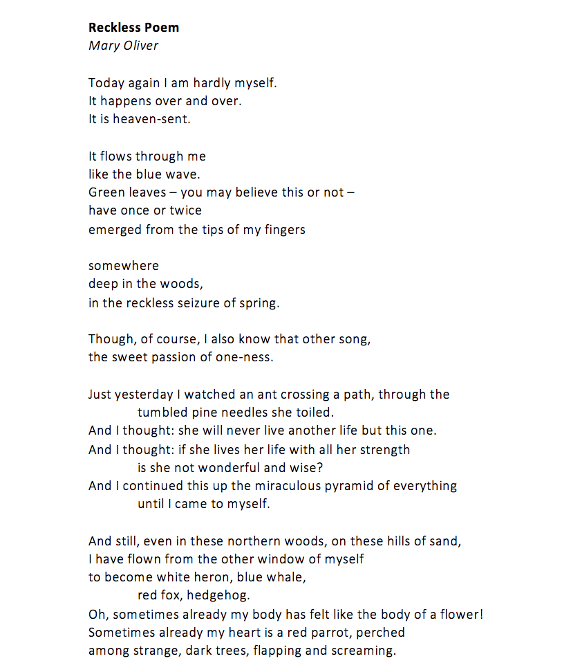 Reckless Poem – sure. wait. what?